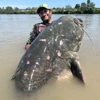 Wereldrecords Meerval Update: 31-05-23 | Tom-Cat.nl