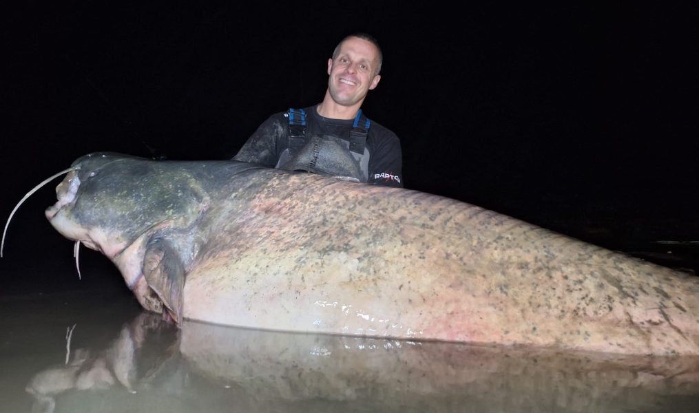 BeNeLux & NL Record Meerval : Update 14-05-2025 | Tom-Cat.nl