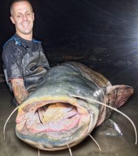 BeNeLux & NL Record Meerval : Update 14-05-2025 | Tom-Cat.nl